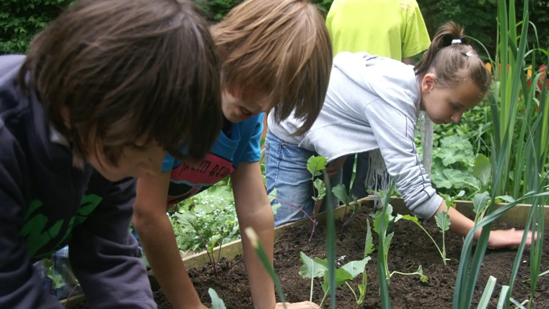 Profil unserer Schule | LVR-David-Hirsch-Schule